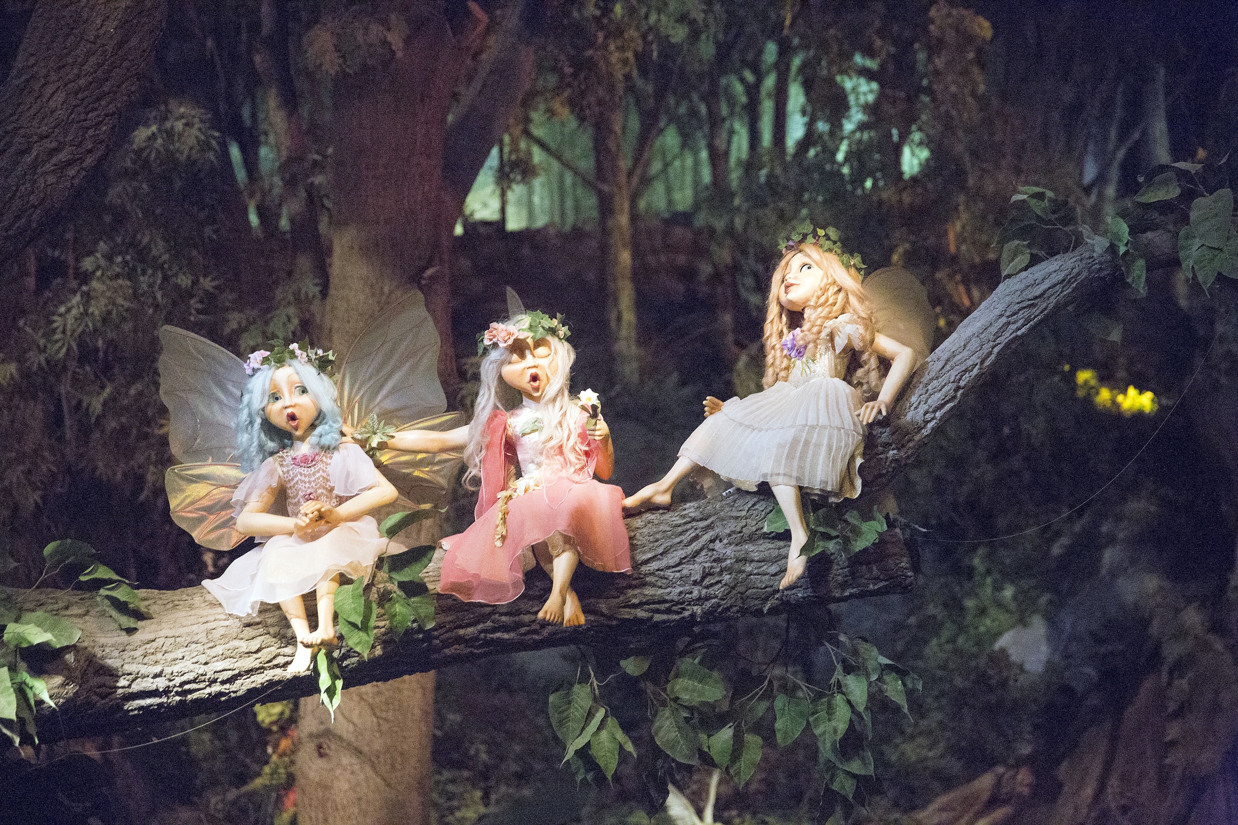 Een inclusievere Efteling: de Droomvlucht krijgt elfjes met meerdere ...