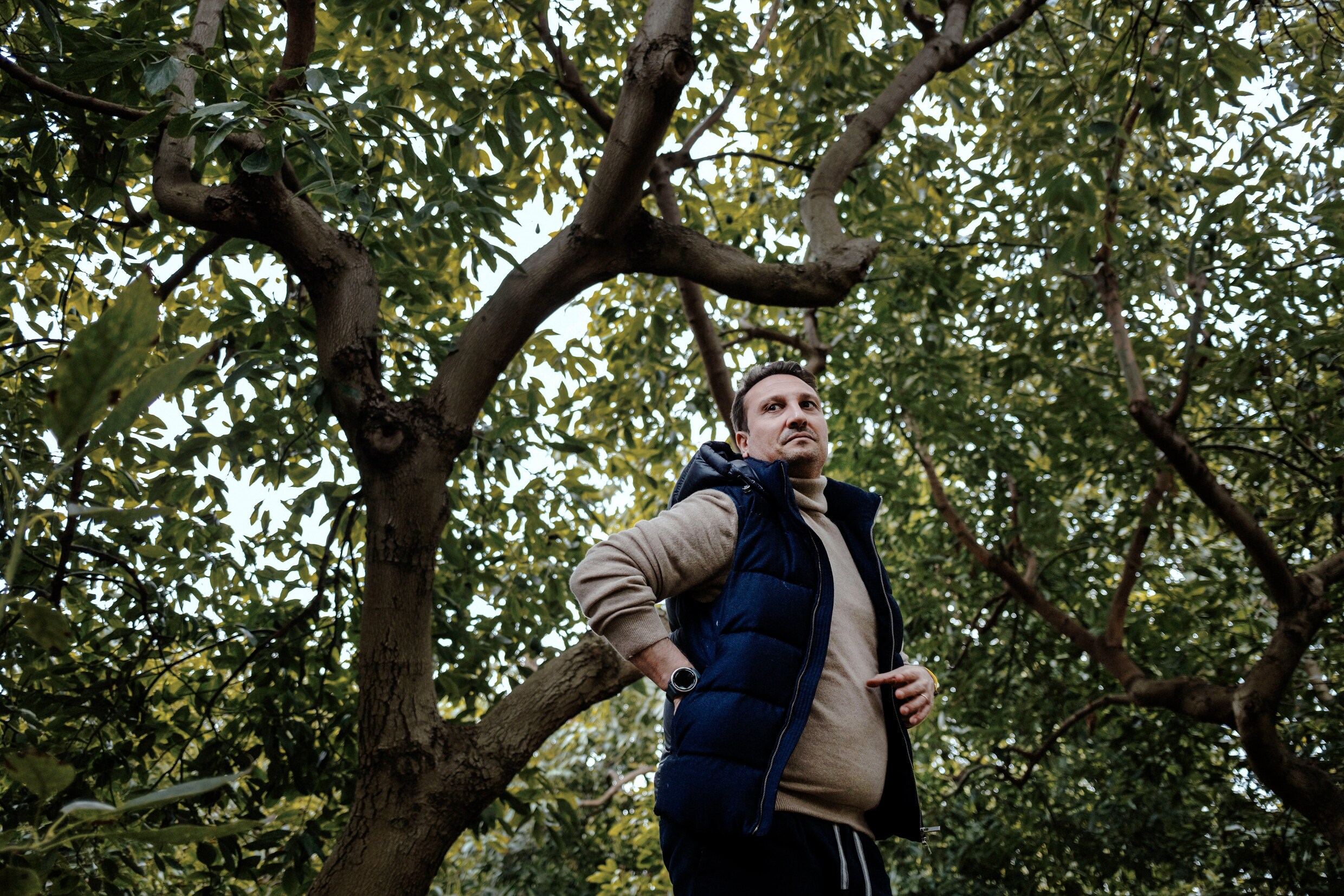 In opwarmend Sicilië stappen boeren over op mango en avocado: ‘Het ...