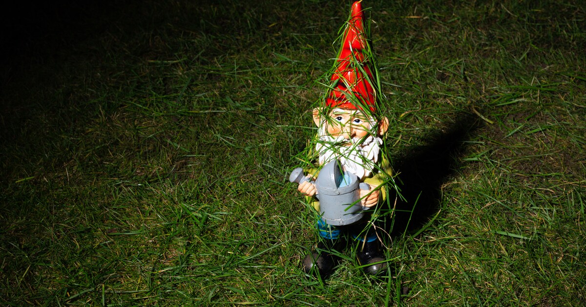 Neem afscheid van het strakke grasveld: zo maak je van je gazon een ...