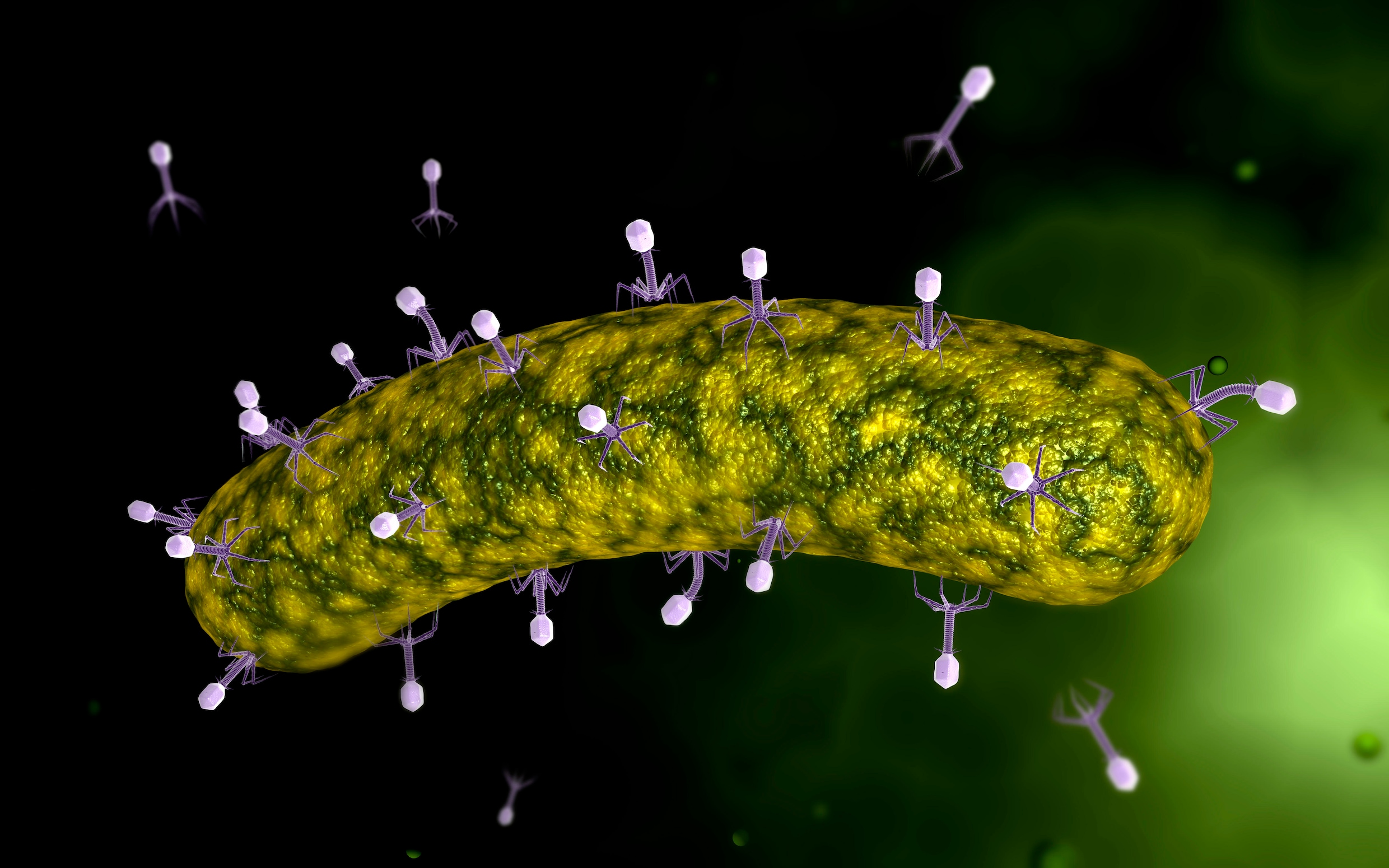 Is de ‘oude vijand’ van hardnekkige bacteriën beter dan antibiotica ...