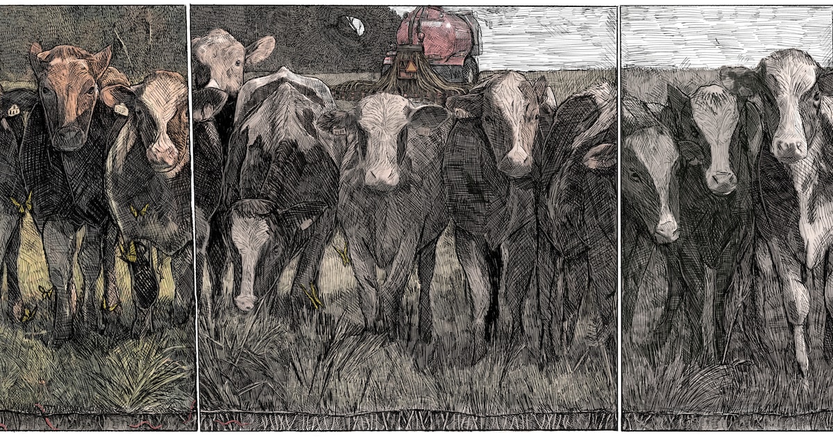 Drijfmest, ruige mest of kunstmest, wat is het beste voor de bodem? | Trouw