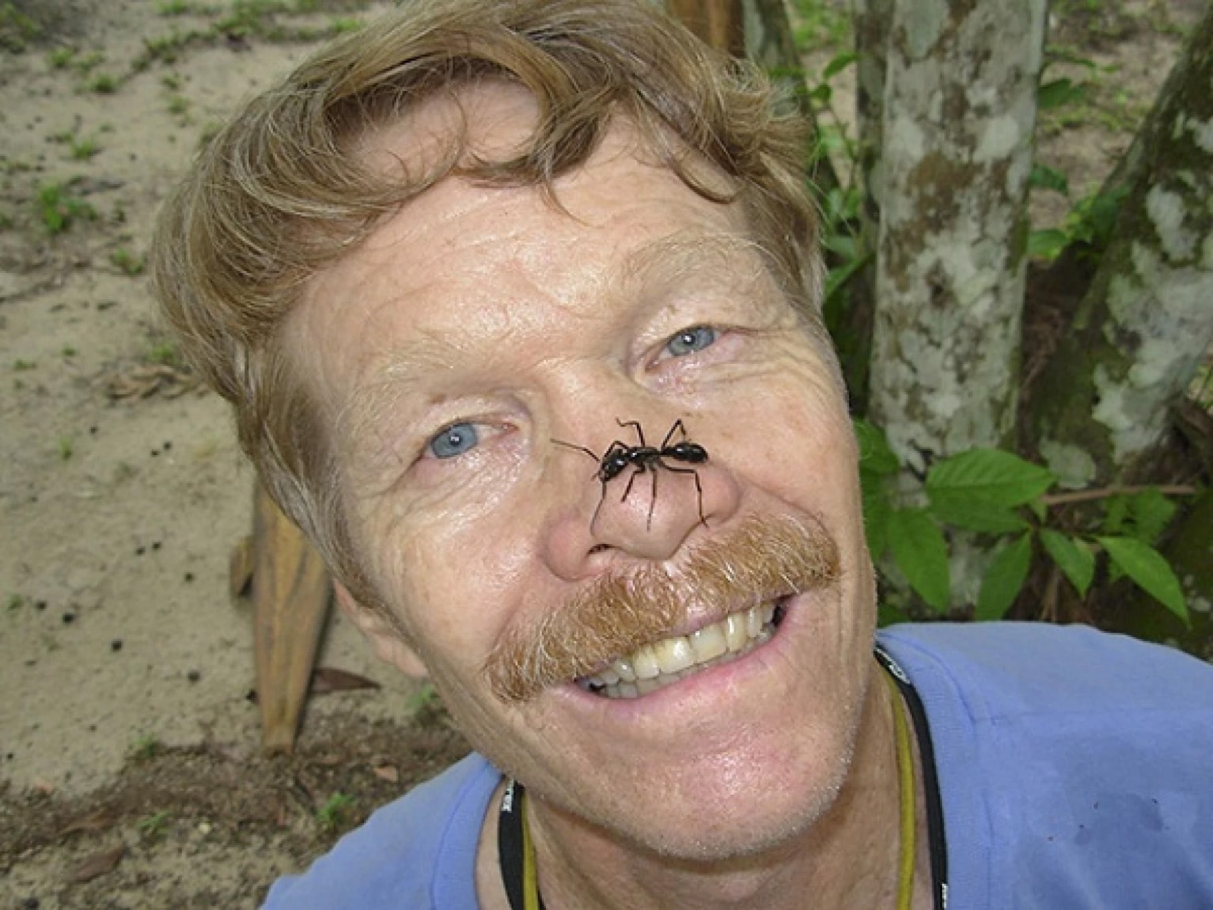 De King of Sting ontwikkelde poëtische pijnschaal en proefde insecten ...