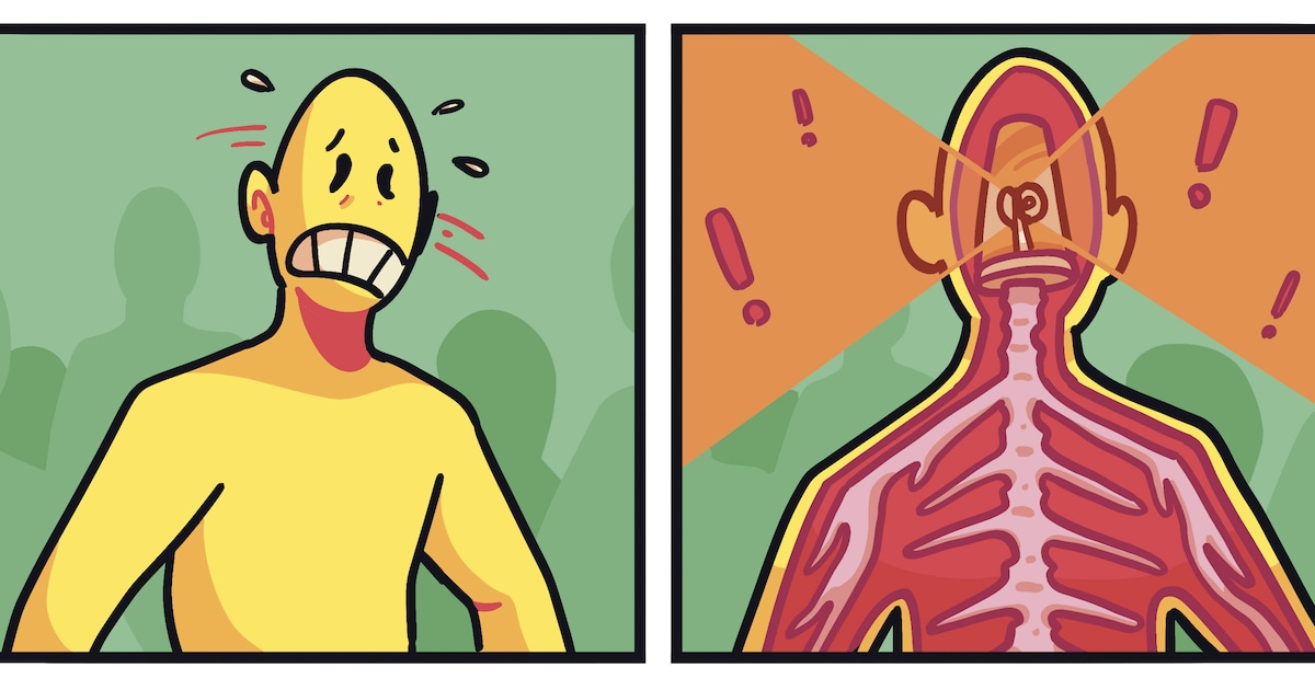 Is het zenuwstelsel de bron van alle mentale problemen? | Trouw