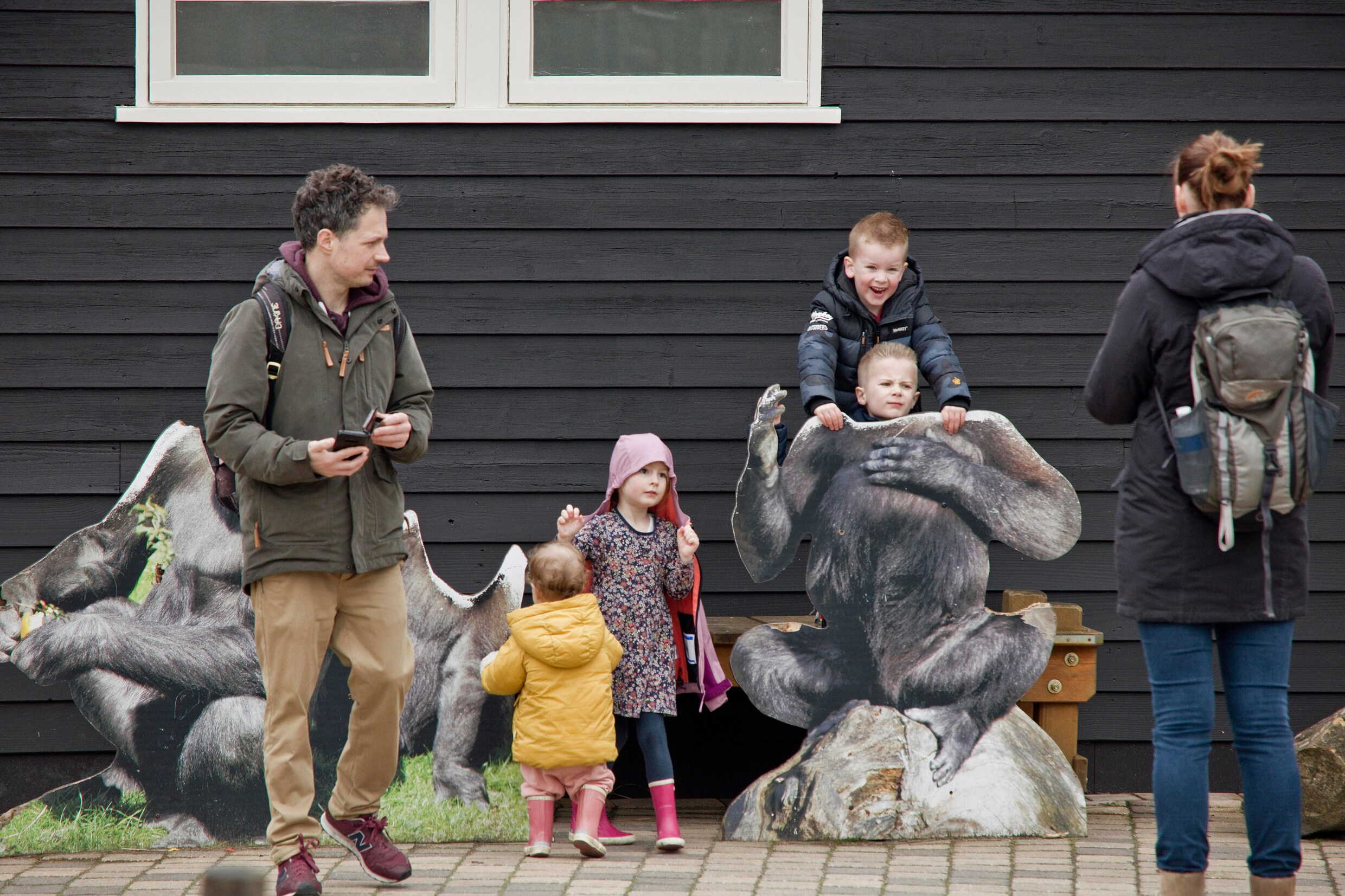 Bokito’s lichaam ligt nu in de vriezer. ‘Zijn hart is al opgestuurd ...