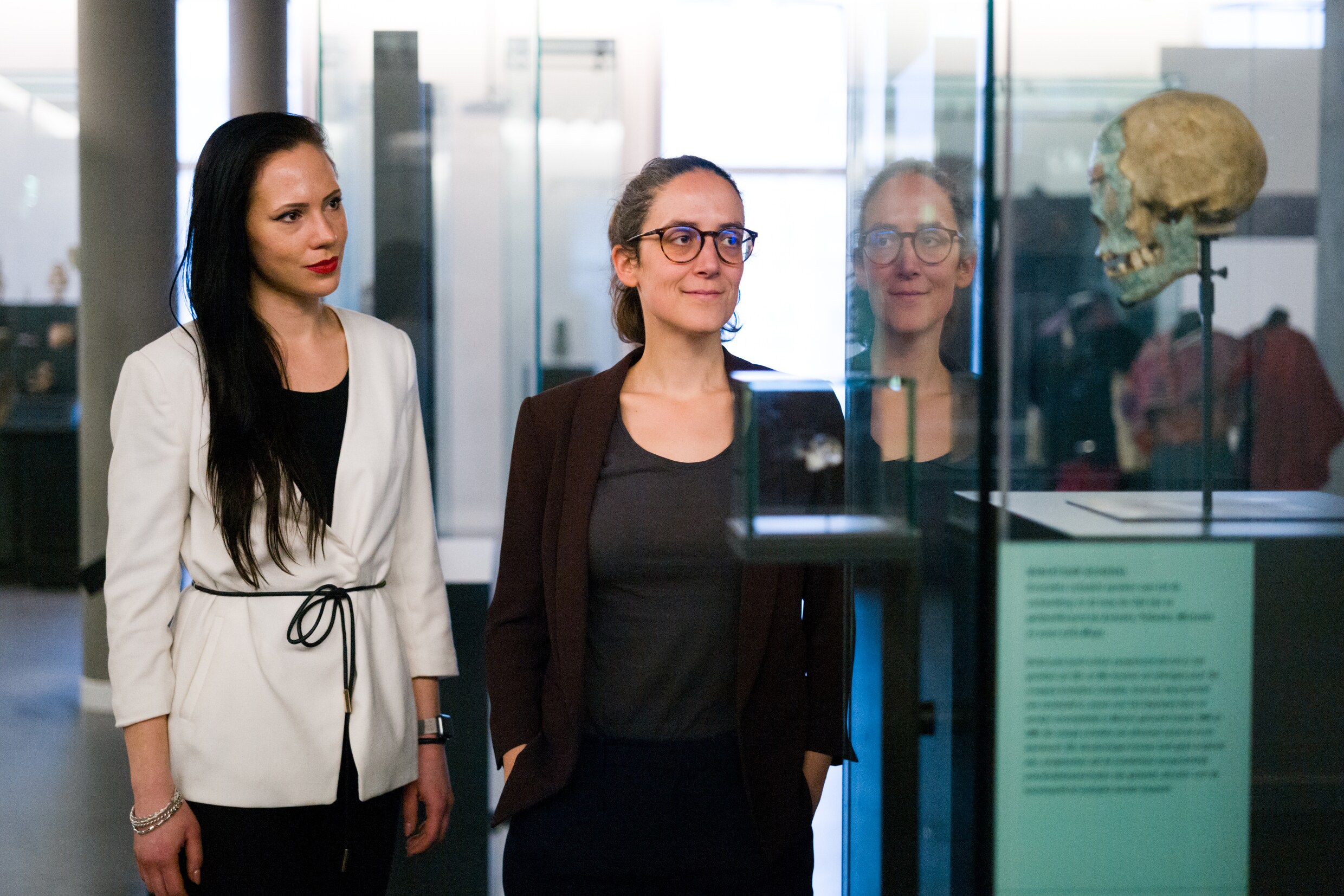 Kopzorgen voor het museum: wat te doen met een gestolen schedel? | Trouw