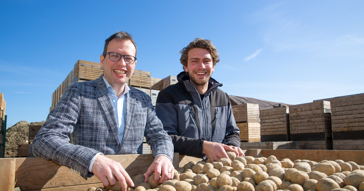 Met hennep en weerbare aardappels willen akkerbouwers hun toekomst ...
