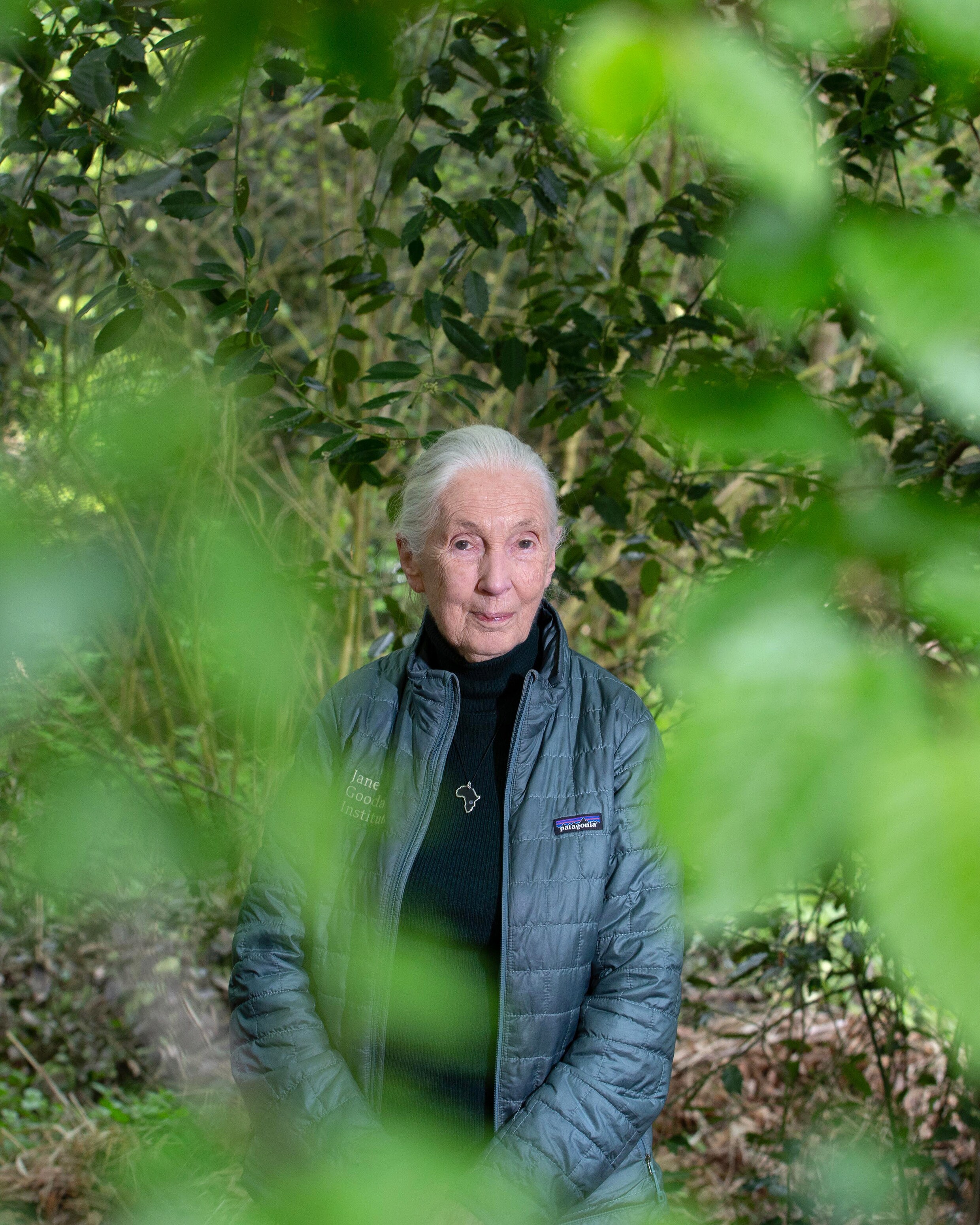 Biologe Jane Goodall: ‘Toen ik echt naar een vlieg keek kon ik zien wat ...