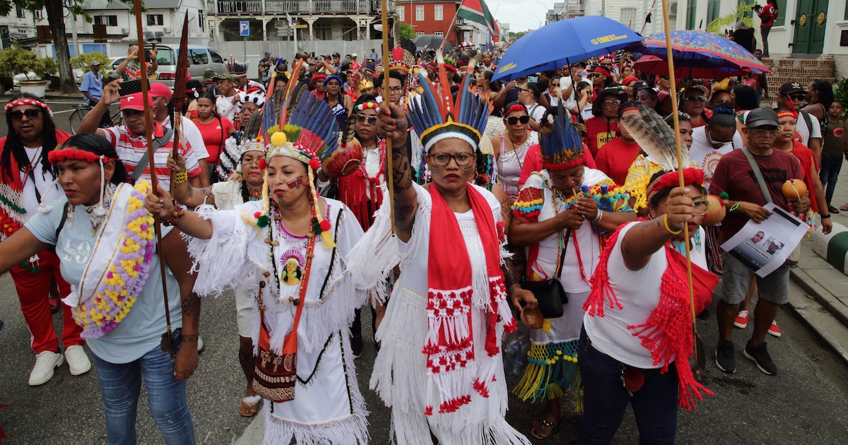 Surinaamse inheemsen ‘buitengesloten in hun eigen leefgebied’ door ...