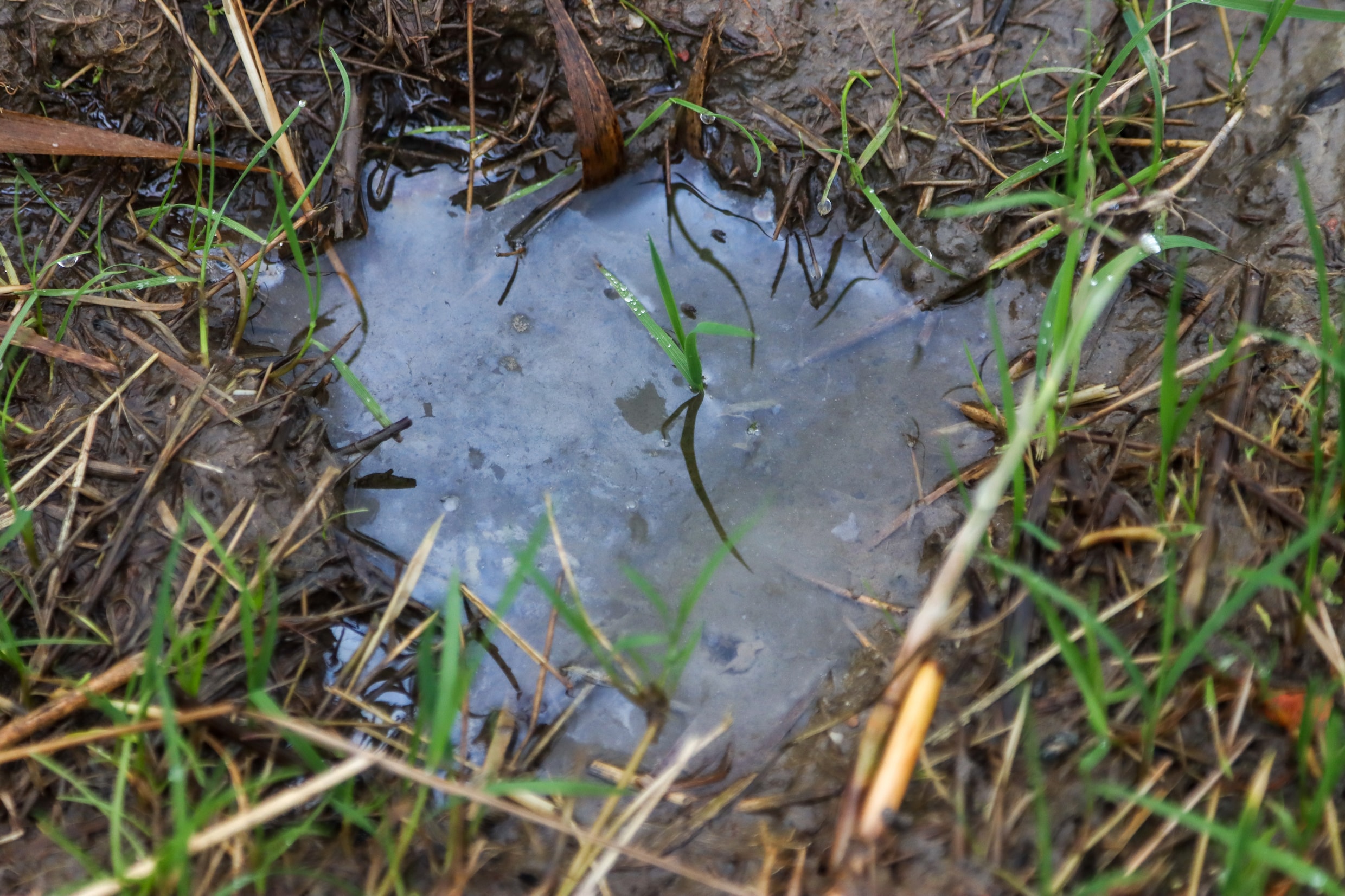 Rekenkamer dringt aan op ‘snel meer actie’ tegen vervuiling door ...