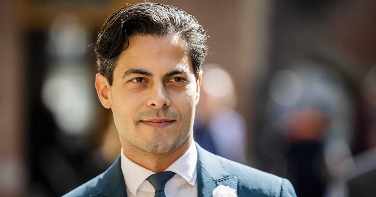 Bij D66 wemelt het van de opvolgers van Sigrid Kaag | Trouw