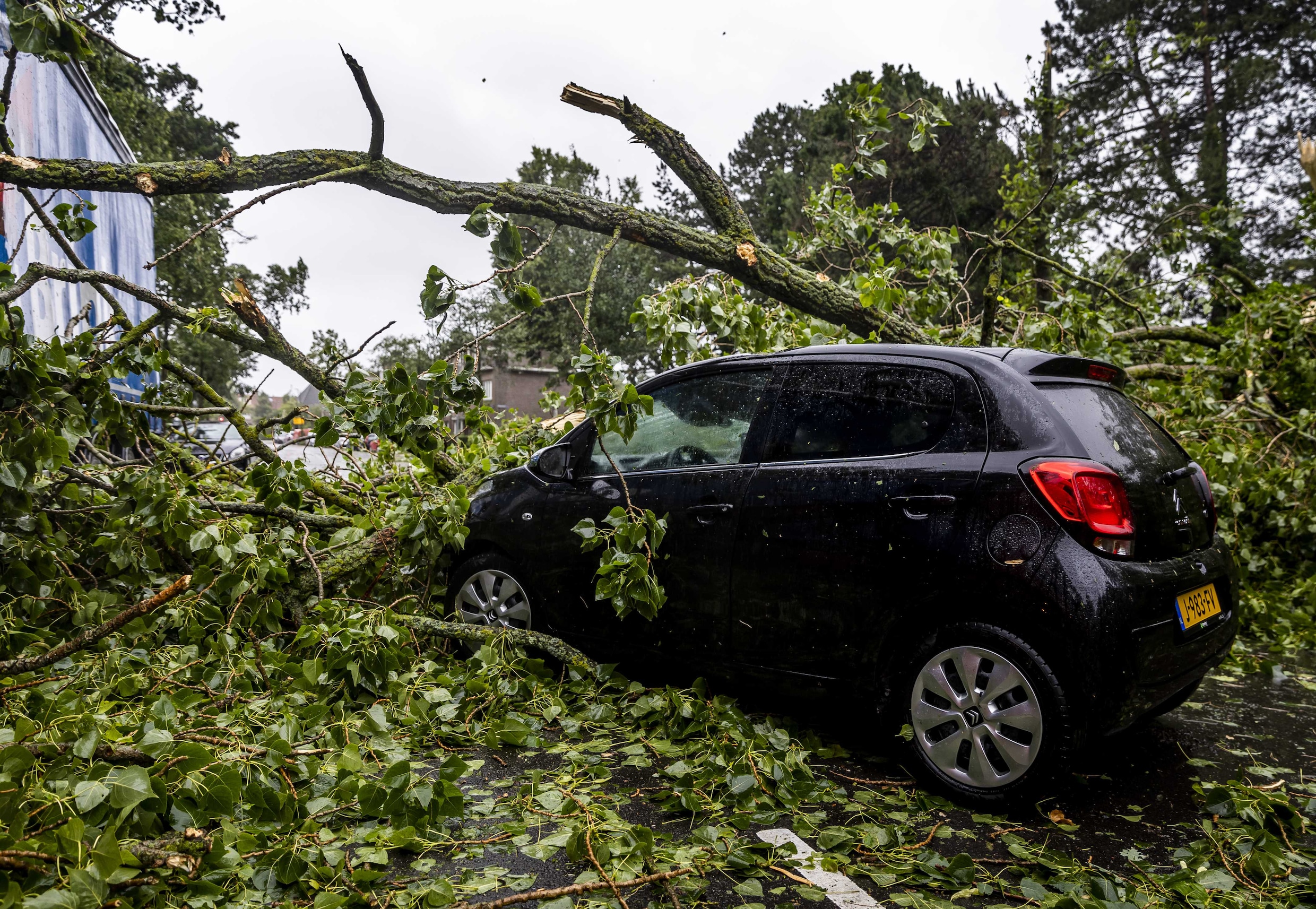 Van code geel naar code rood: waarom was storm Poly zoveel schadelijker ...