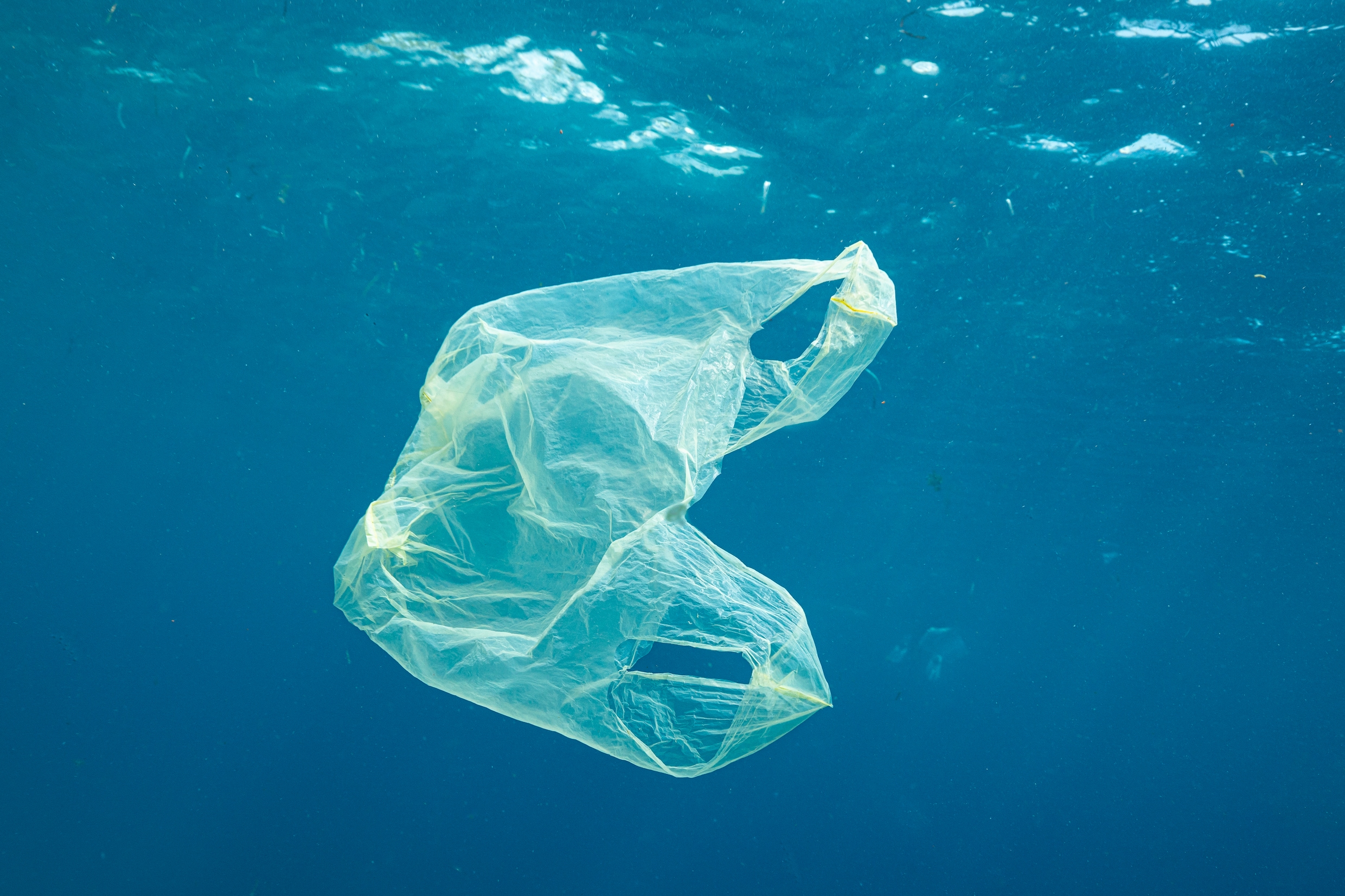 Ook 3 miljard kilo plastic in de oceanen is nog altijd gigantisch veel ...