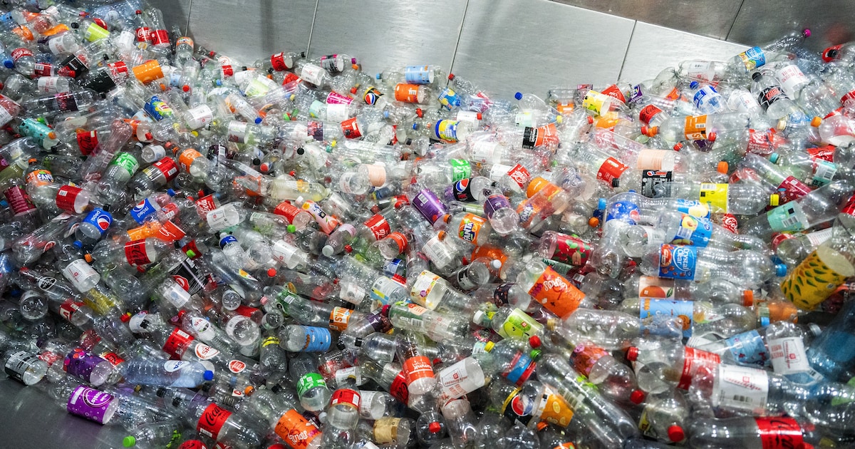 Niet geïnd statiegeld kost consument honderden miljoenen | Trouw