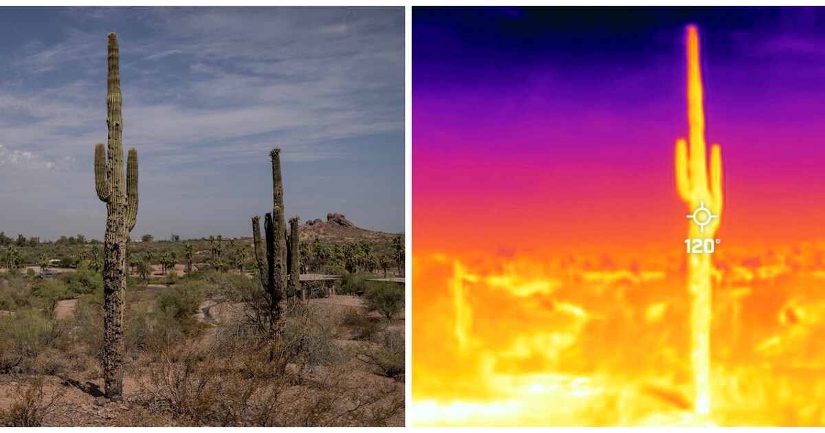 Juli was de warmste maand ooit, maar hier is het koud. Hoe kan dat? | Trouw