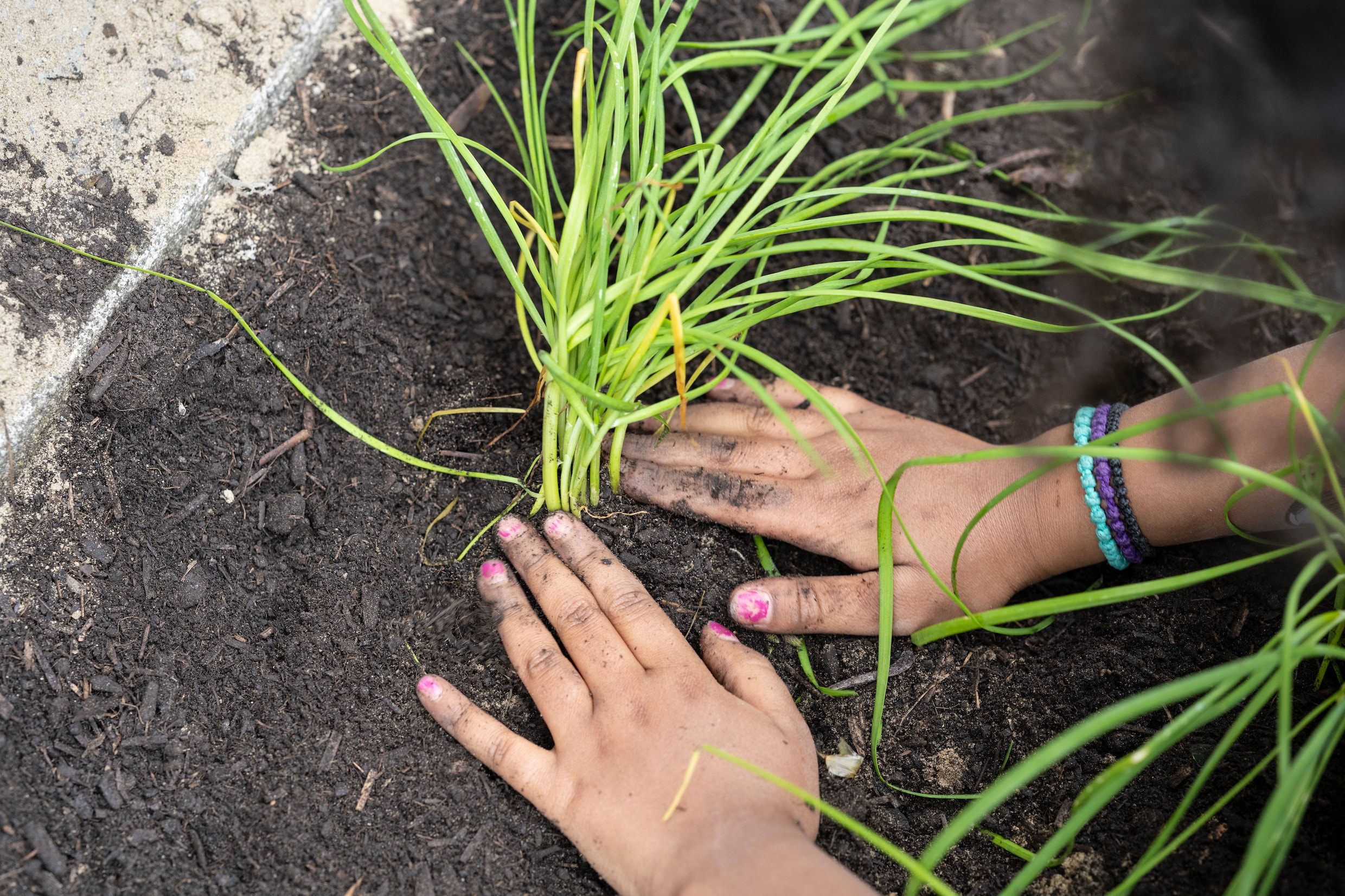 Je tuin koel en klimaatproof maken? Dat wordt tegelwippen en een emmer ...