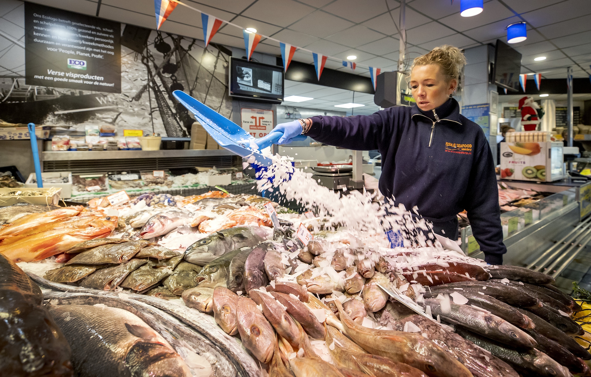 De zee wordt warmer, de vis zwemt naar het noorden en dan is er ruzie ...