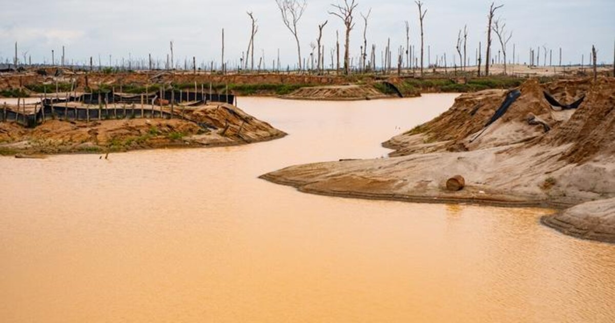 Goudkoorts verandert tropische rivieren in giftige modderstromen | Trouw