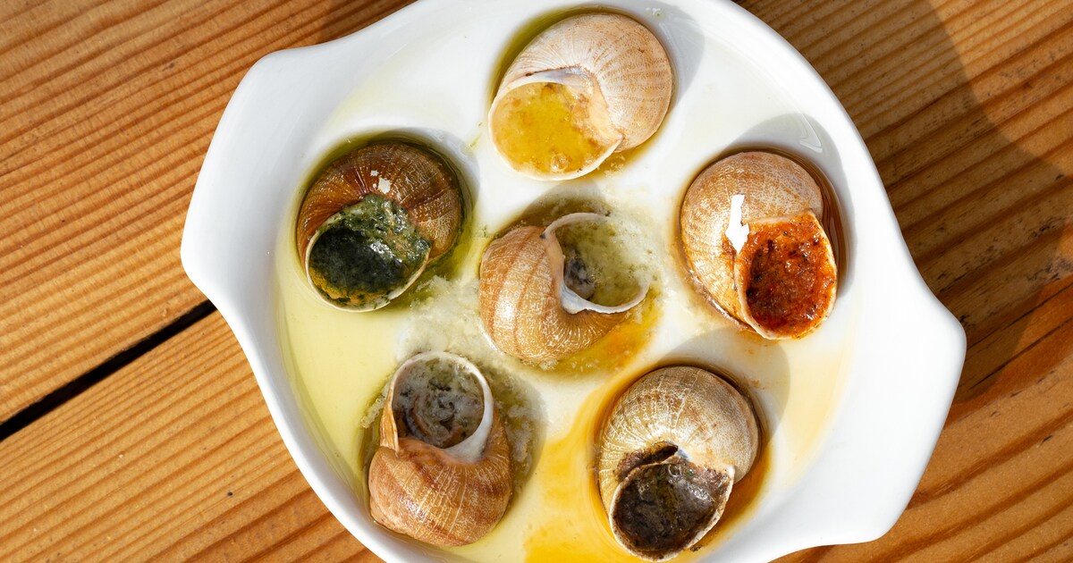 Een écht weekdier herken je aan de multifunctionele voet | Trouw