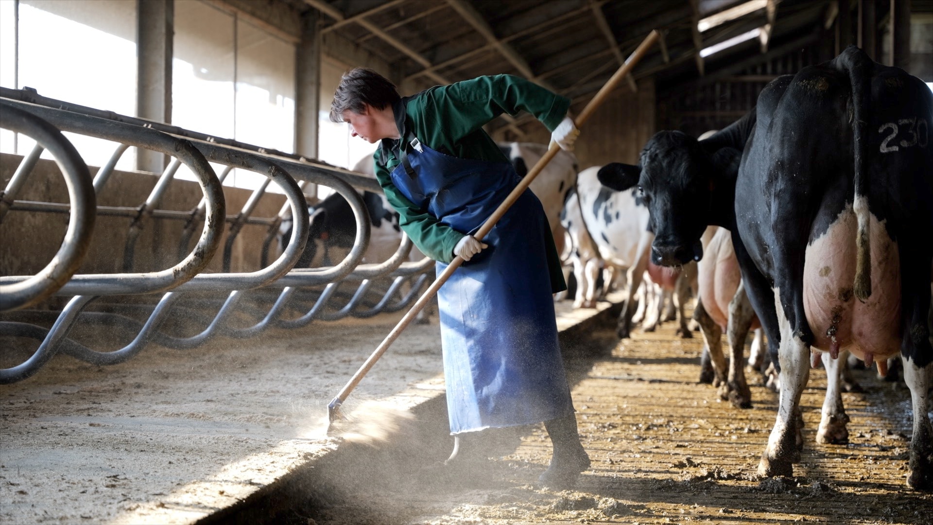 Deze documentaire laat de pijn op het platteland zien: als boerin niet ...