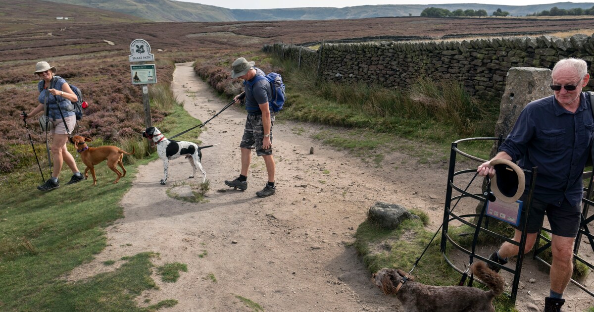 Bijna 100 jaar geleden streden Engelse actievoerders voor het recht om ...