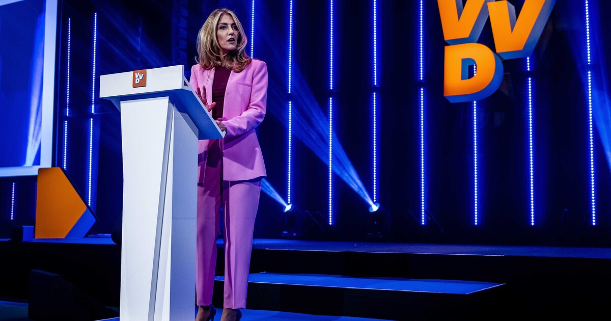 Een optimistische VVD projecteert haar wensen en verlangens op de ...