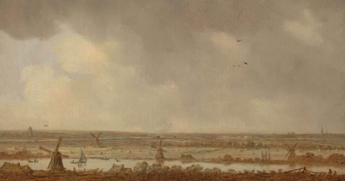 Hoe zag het Nederlandse landschap er in de middeleeuwen uit? Het lijkt ...