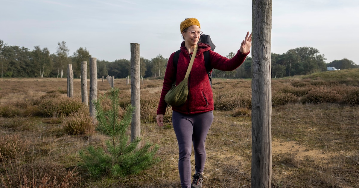 Kate Moore wandelt als een componerende cartograaf van Oss naar Ierland ...