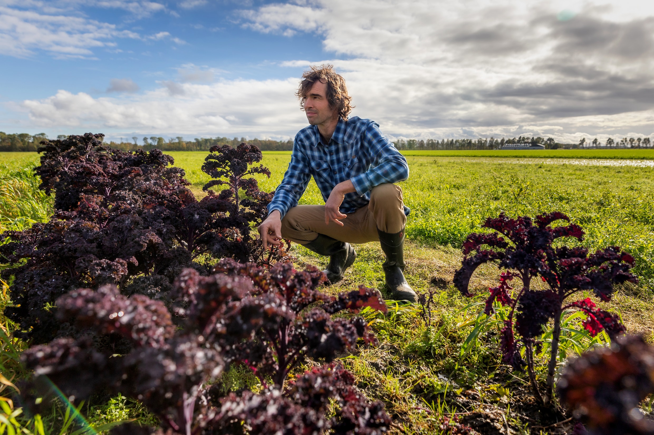Zaadvaste rassen zijn cruciaal voor de landbouw, zegt deze teler. ‘De ...