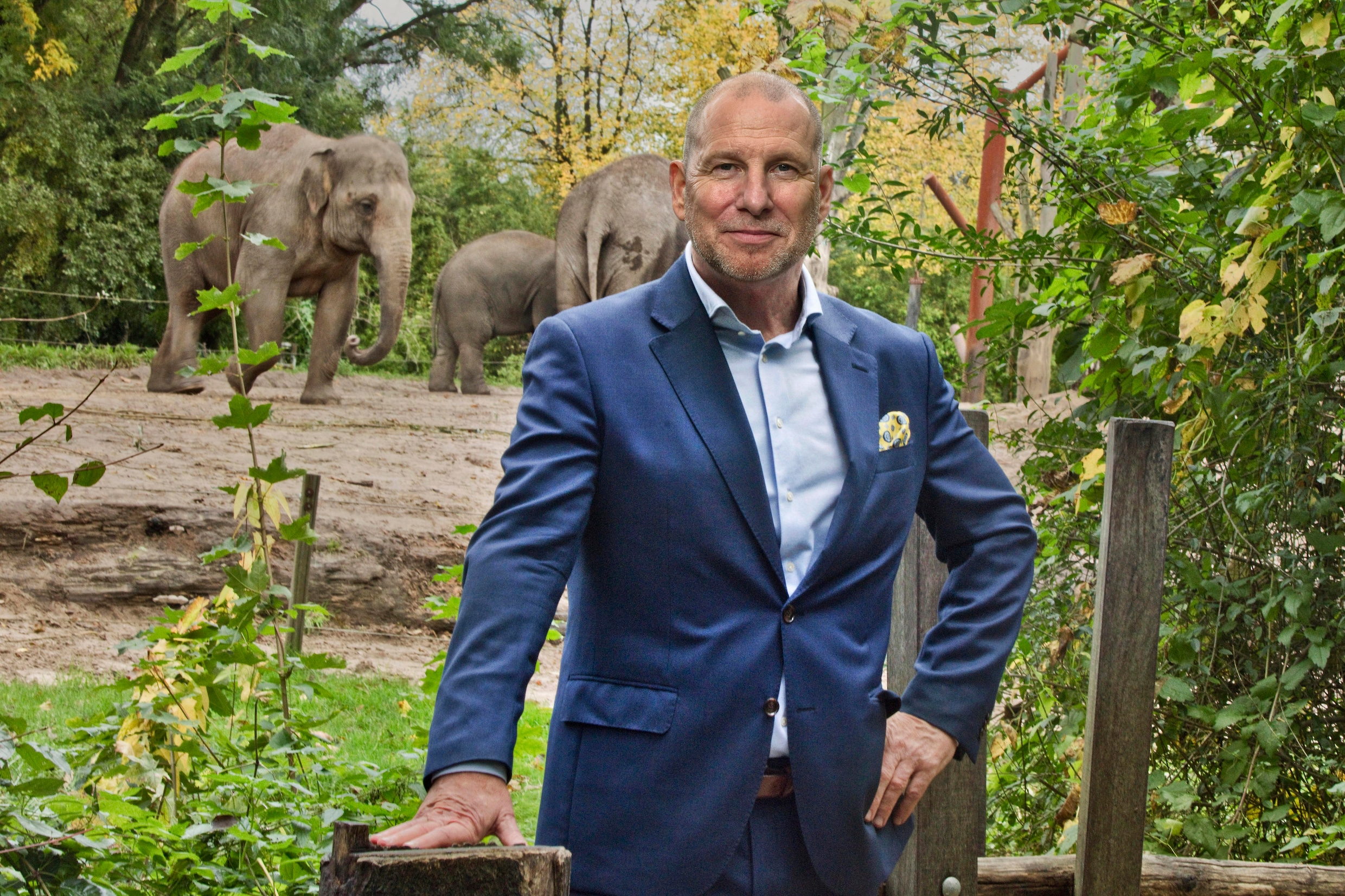 Diergaarde Blijdorp kondigt grote veranderingen aan: ‘De natuur vraagt om actie’ | Trouw