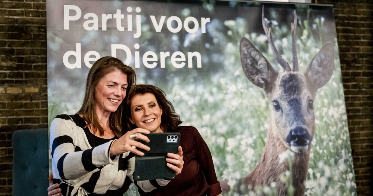 Ouwehand is een BN’er geworden, maar levert het zetels op? | Trouw