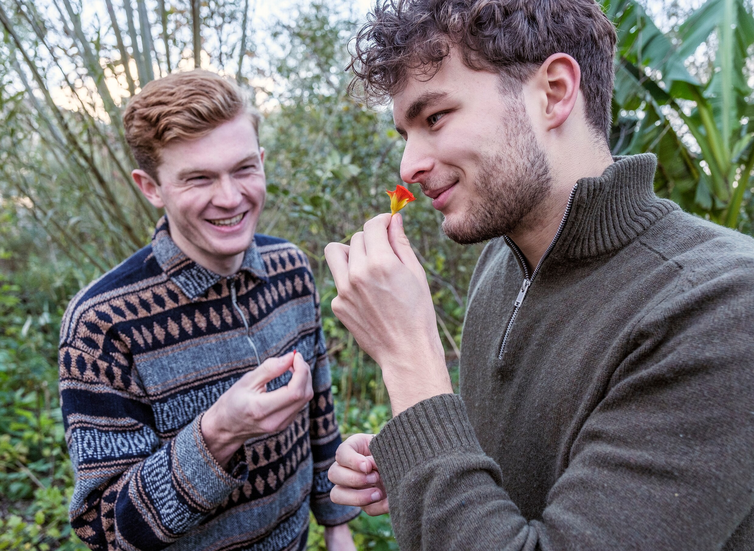 UvA-studenten bedachten een nieuw keuzevak: voedselbosbouw | Trouw