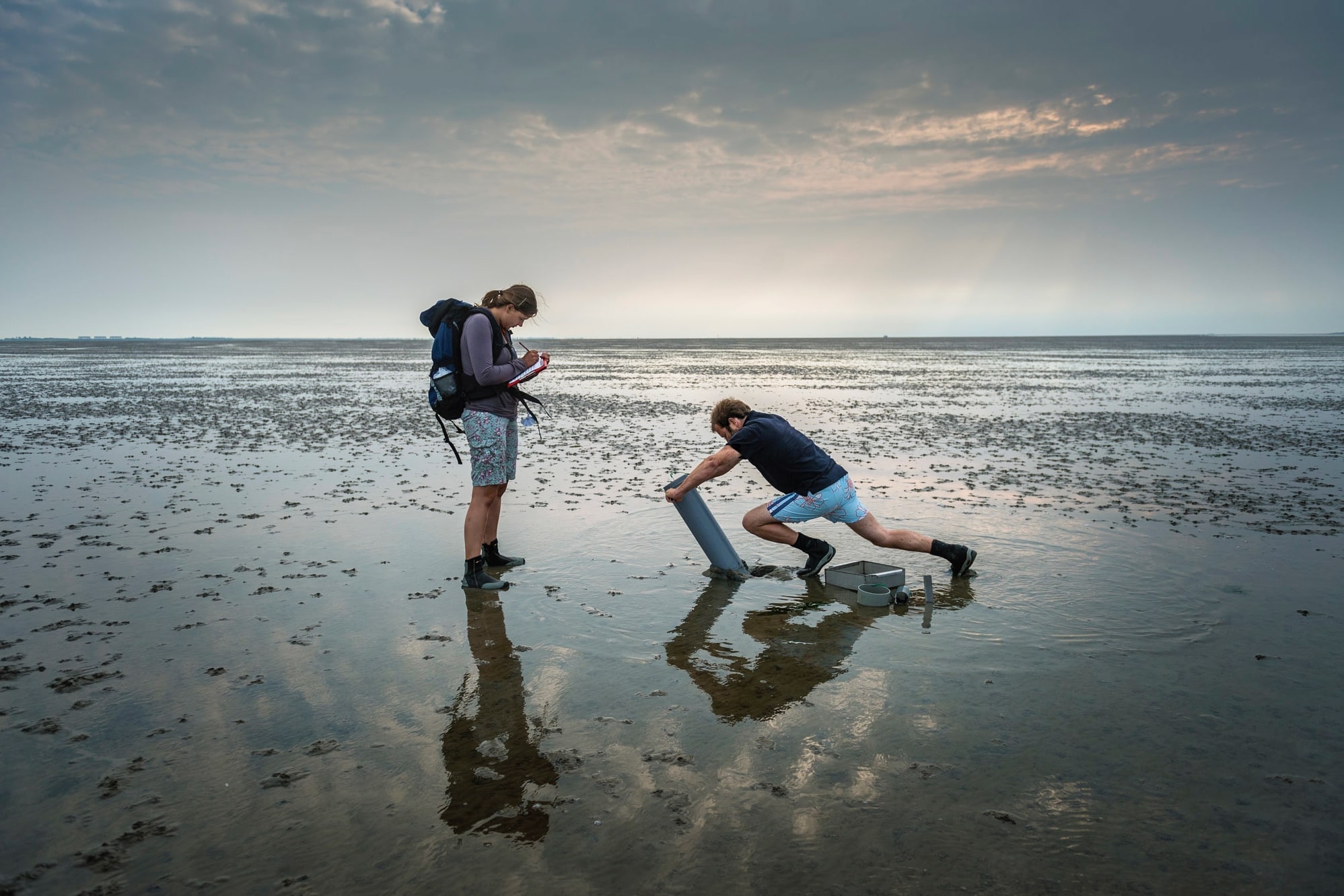 Wadbodem daalt niet door gaswinning, maar verandert wel | Trouw