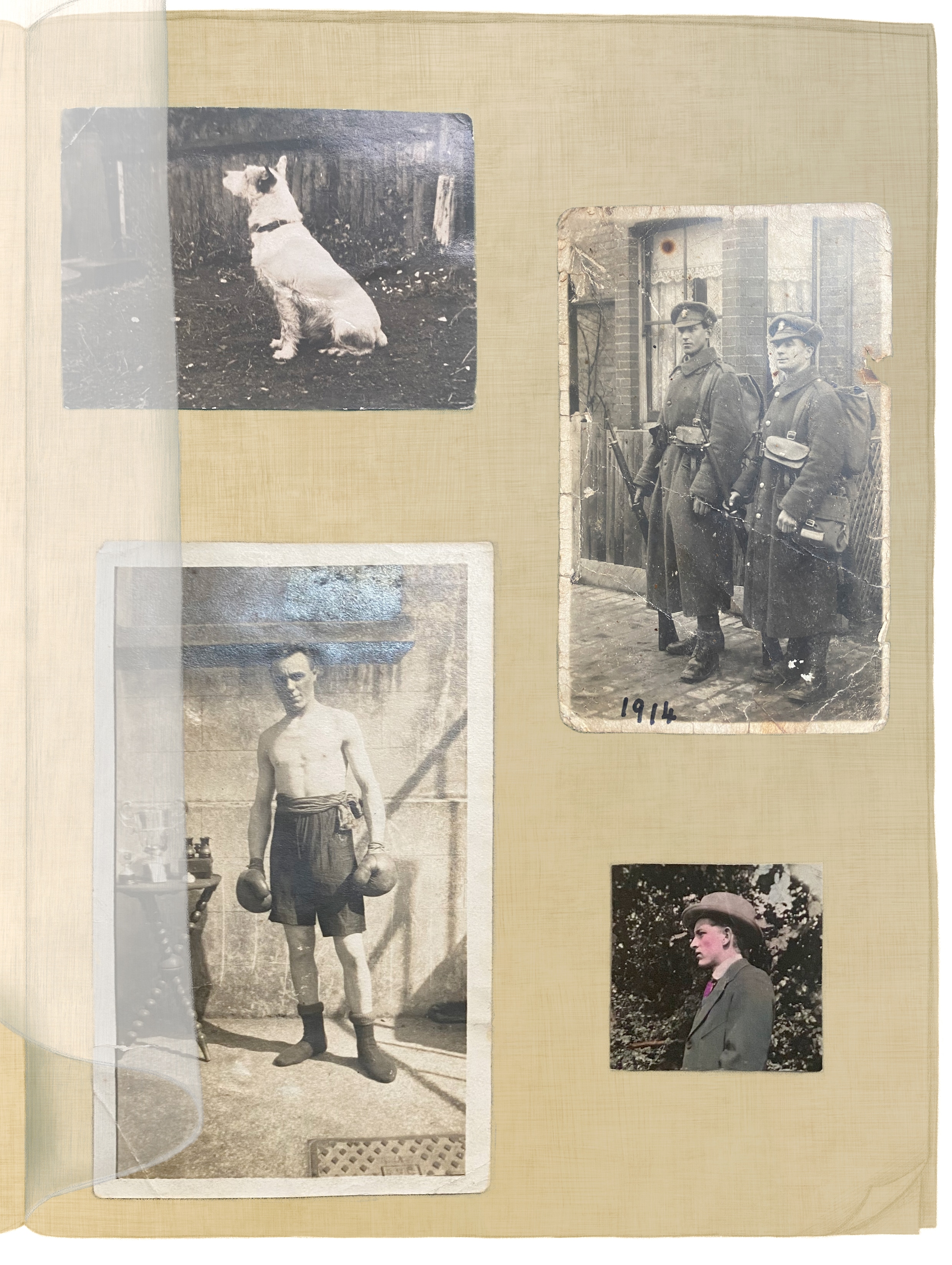 Dit waren de hoogtepunten van 2023 volgens de chefs van Trouw | Trouw