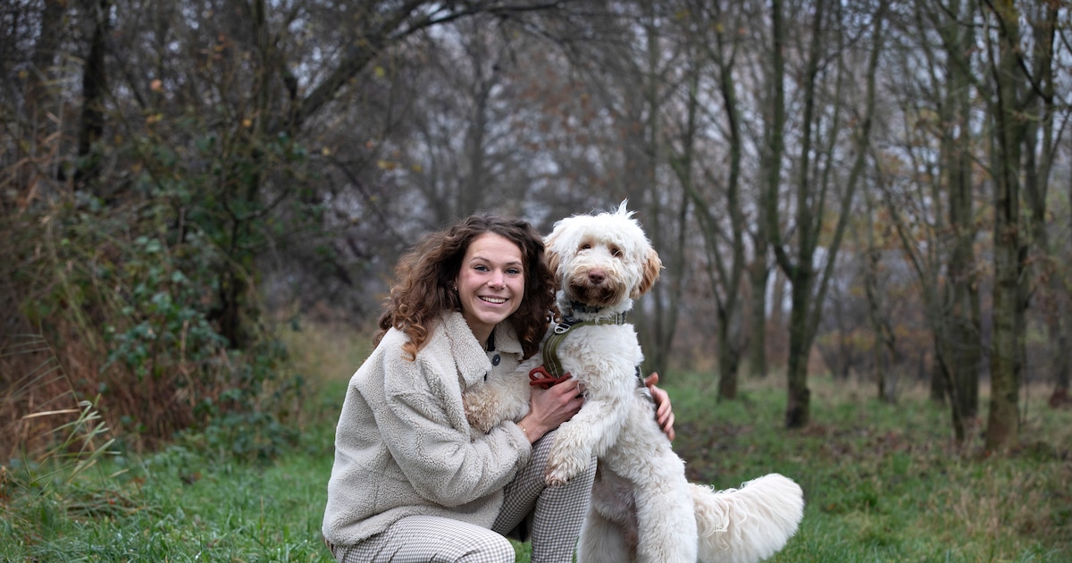 Hoe labradoodle Joep de wereld van Anouk (23) weer wat kleur gaf. ‘Ik ...