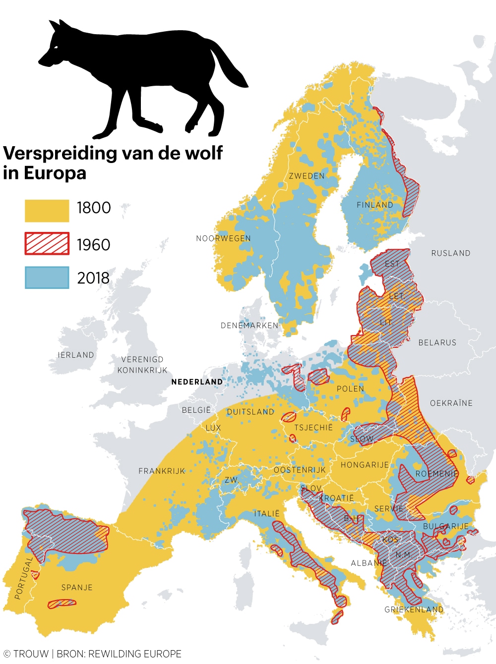 Europese Commissie wil de wolf minder beschermen, maar ‘afschot helpt ...