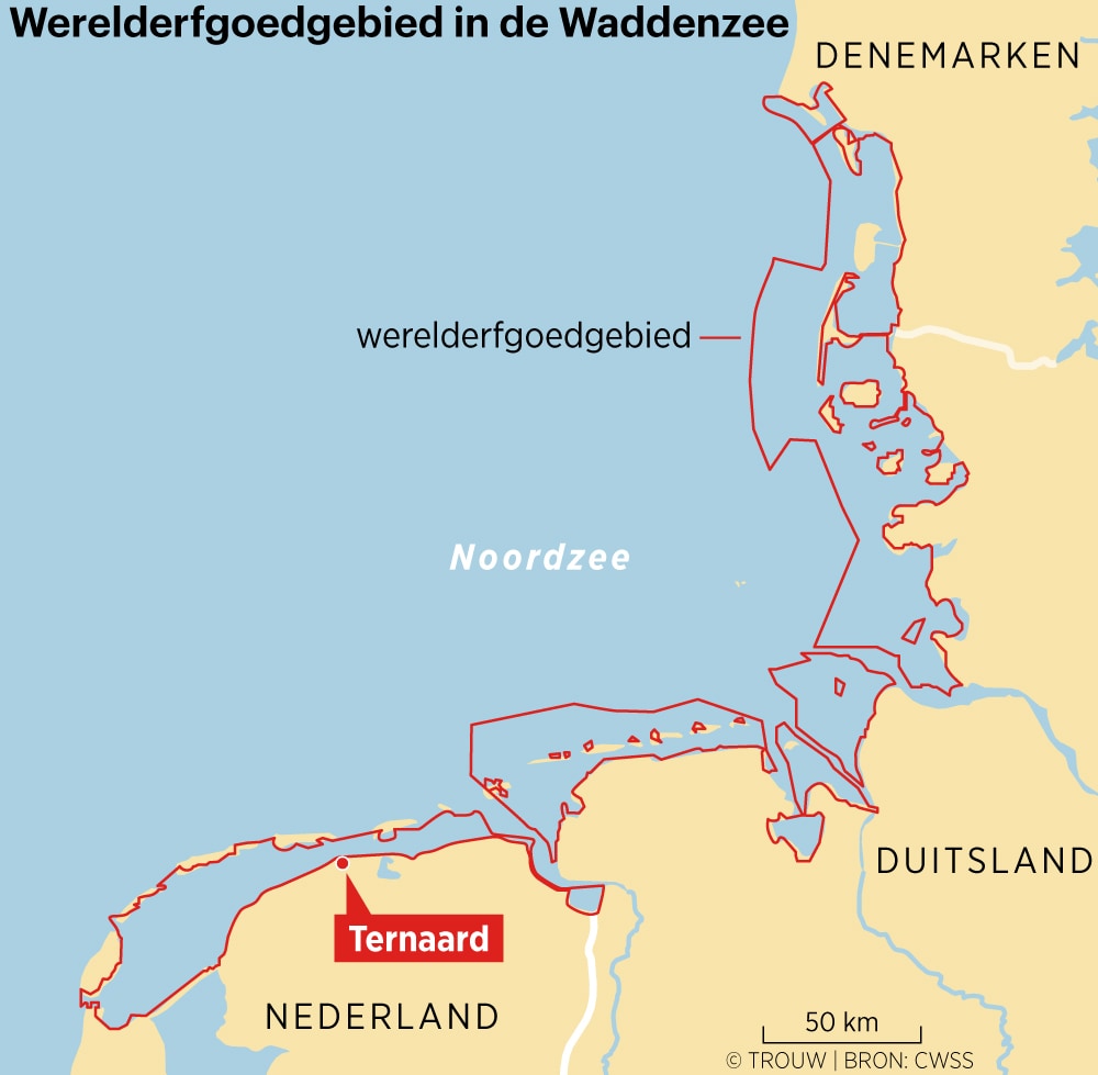 De Waddenzee is op papier goed beschermd, maar daar merk je in de ...