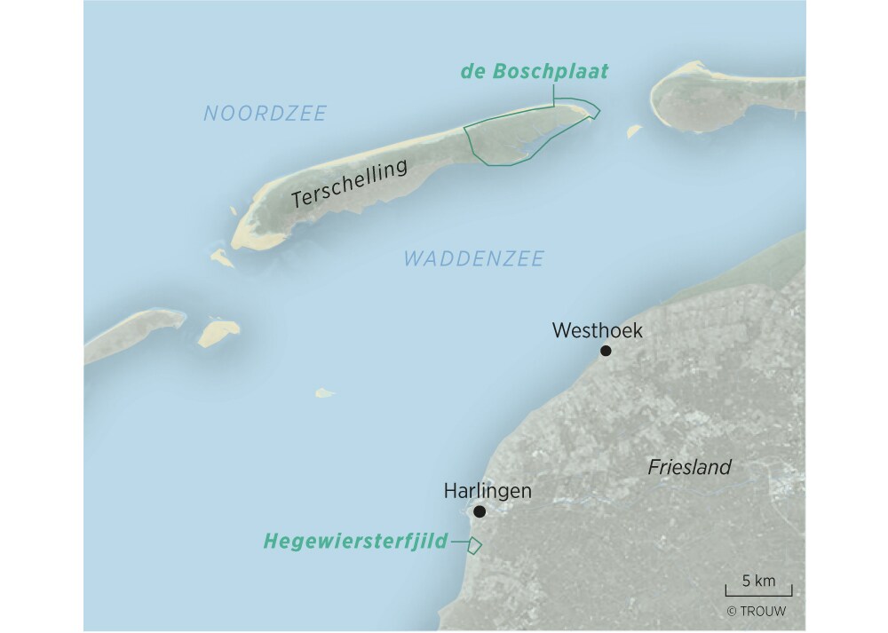 ‘Het gaat al heel lang niet goed met de broedvogels in de Waddenzee ...