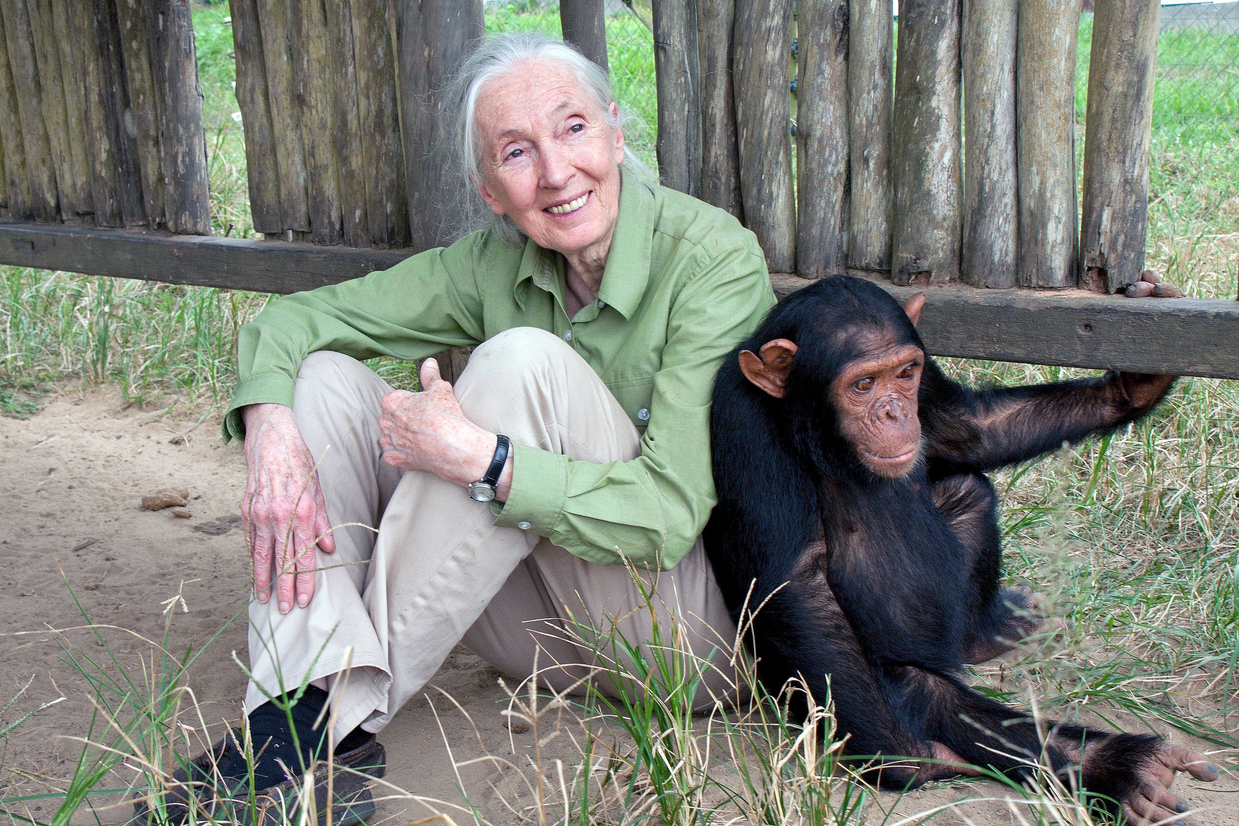 Jane Goodall, eerste hulp bij uitsterven en de sierraden van Hans ...