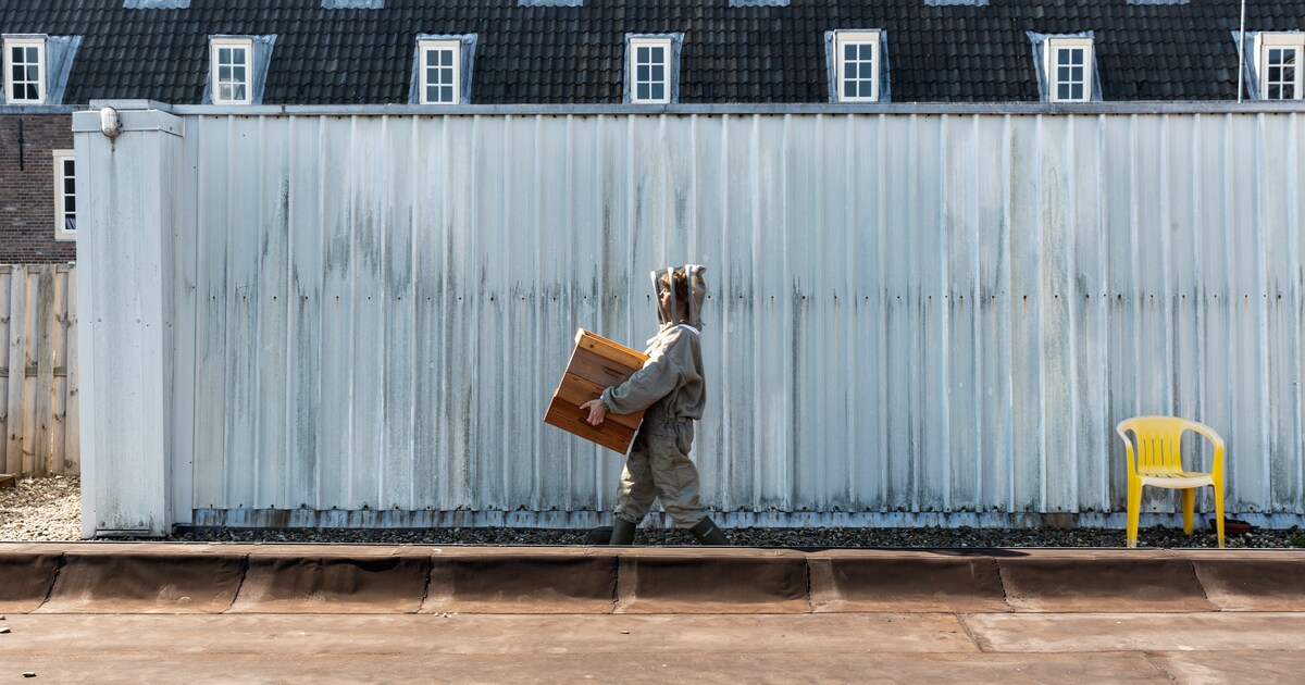 Jurre Rompa fotografeert de verborgen wereld van imkers boven de stad ...