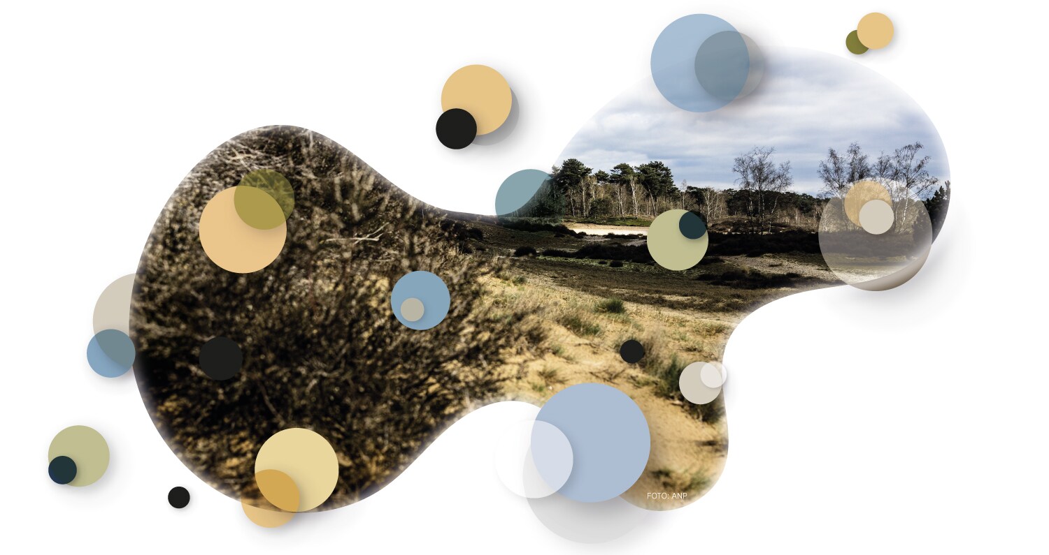 RIVM: Stikstofdoel zo goed als onhaalbaar | Trouw