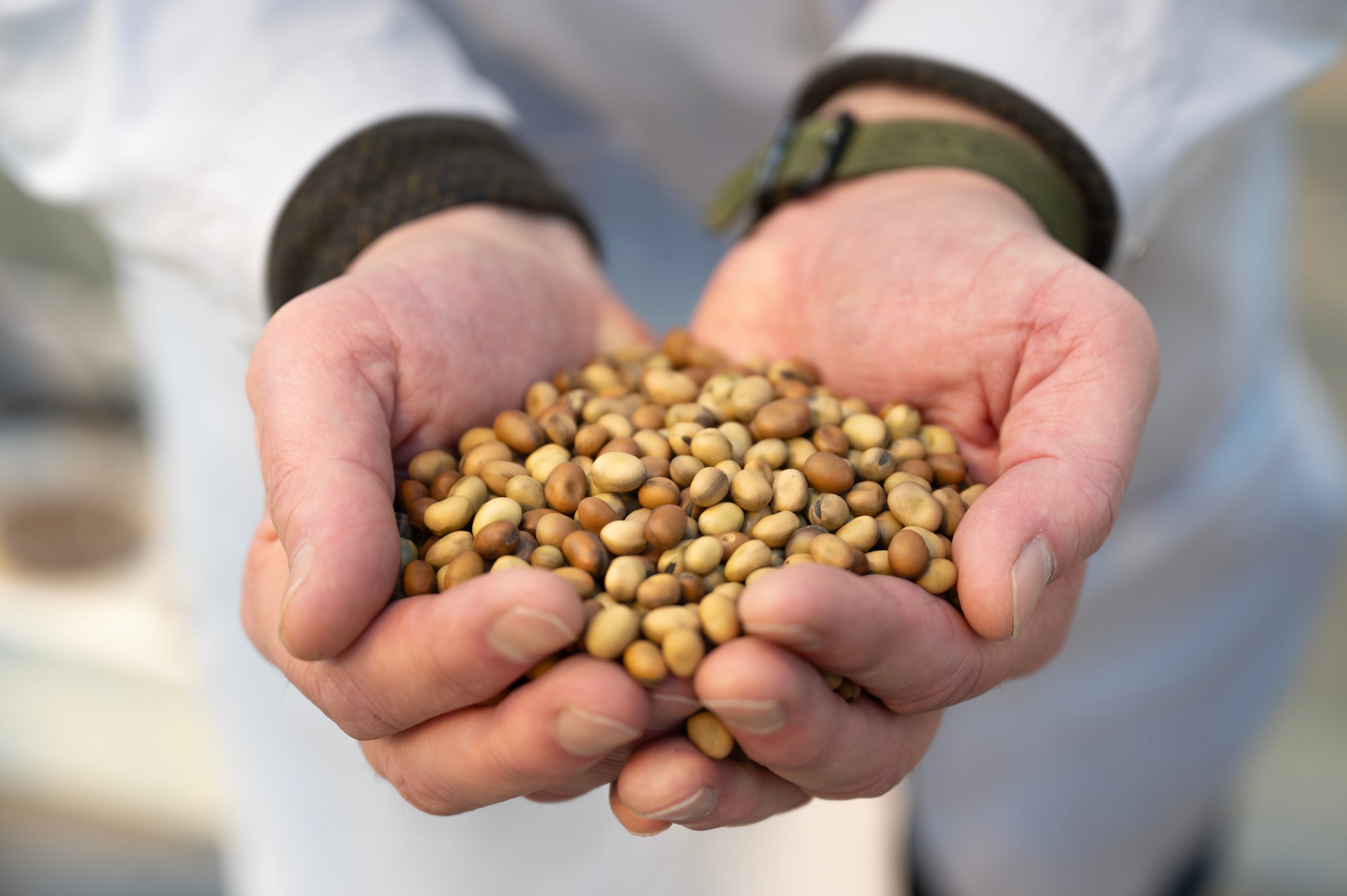 Van vleesvervanger tot bodemredder: tijd voor een herwaardering van de ...