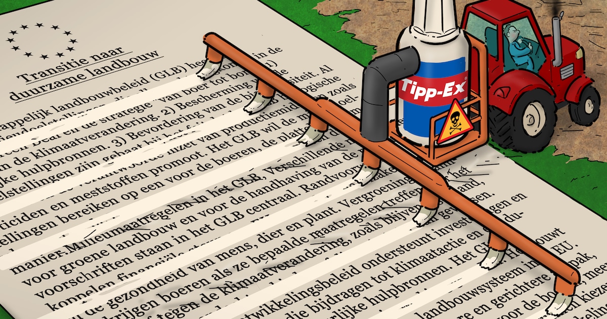 Trouw-cartoonist maakt kans op Europese prijs | Trouw