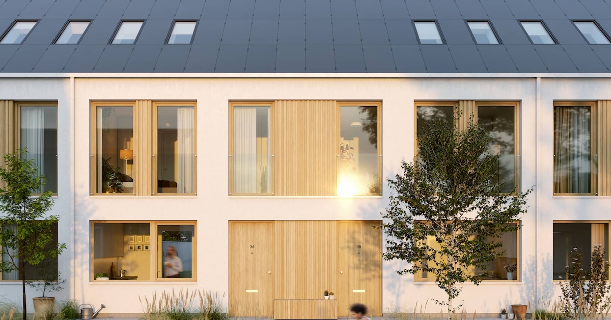 Bam wil meer groene woningen bouwen en denkt dat er genoeg ruimte is ...