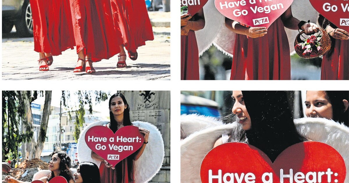 Een vleesloze Valentijnsboodschap van veganistische engelen | Trouw