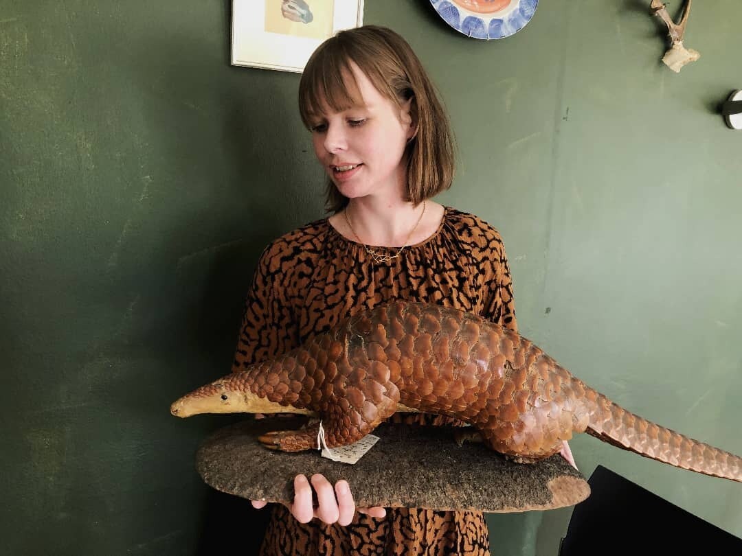 Het schubdier is ernstig bedreigd, maar schrijver Anne Broeksma is ...