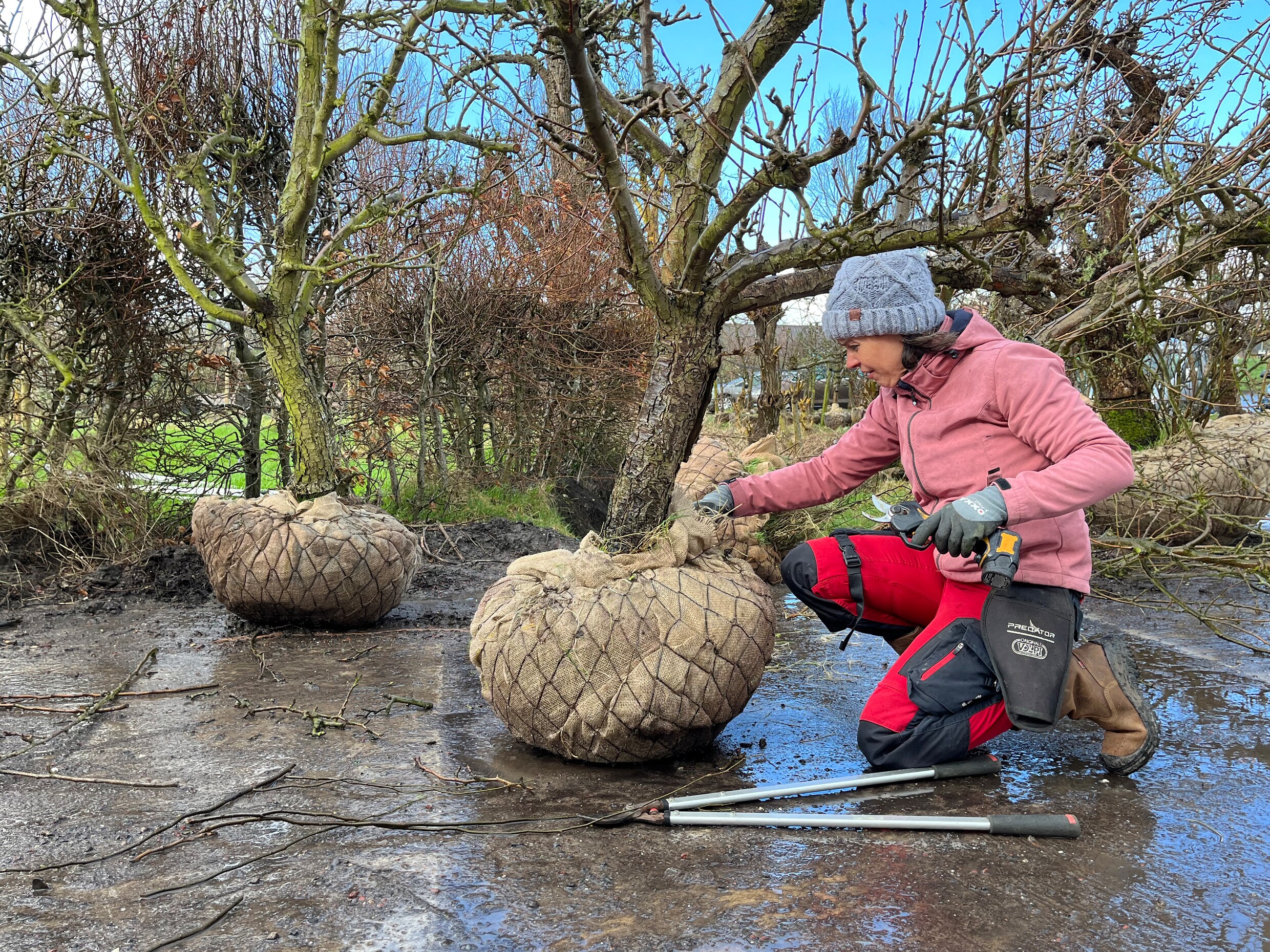 Karin Luiten gaat op snoeicursus: ‘Welke tak moet eraf? Juf, hellup ...