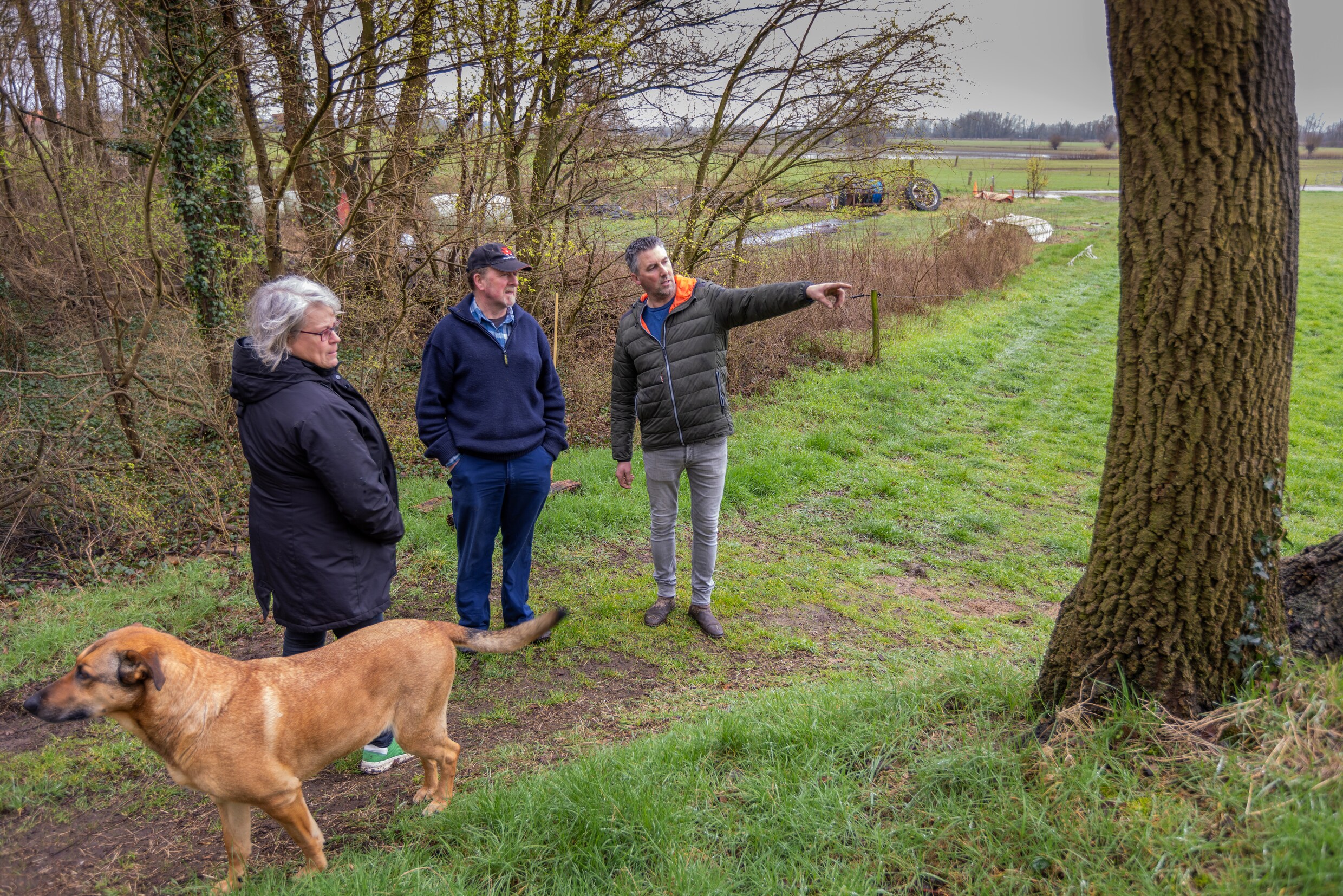 Een kleine wijziging voor de natuur met grote gevolgen voor drie ...
