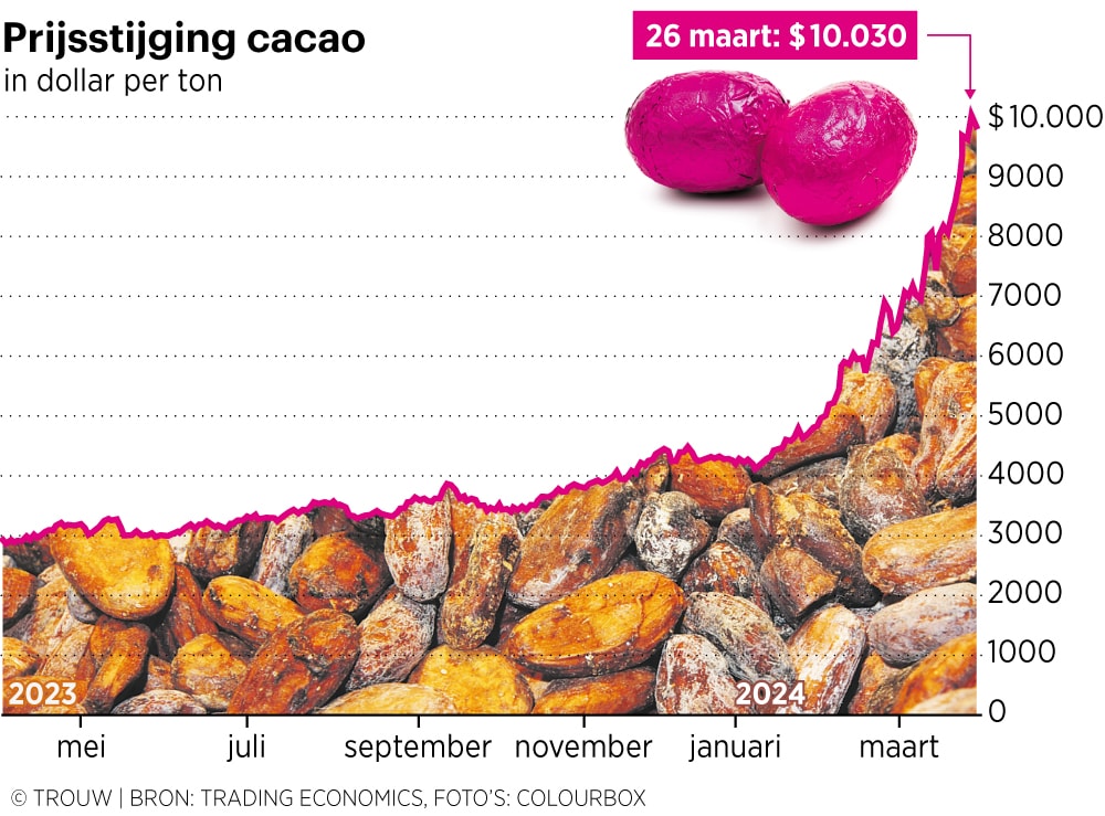 Nooit was cacao zó duur: wereldwijd tekort zal ook te merken zijn in de ...