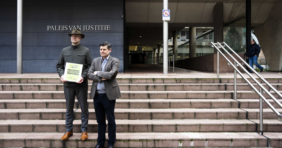 De zaak Milieudefensie vs. Shell: zinloze symboolpolitiek of broodnodig ...