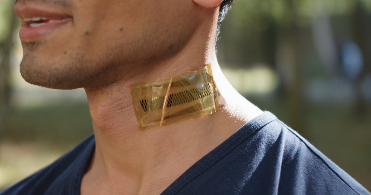 Een echopleister geeft continu zicht op onze organen | Trouw